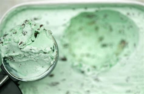 Helado De Menta Con Chips De Chocolate Foto Premium