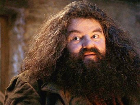 Rubeus Hagrid Harry Potter POSTAVY Cz