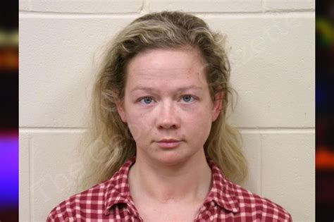 Ashleigh Marlin Bulloch County Jail Bookings