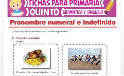 Adjetivos Determinativos Numerales E Indefinidos Para Quinto Grado Otosection