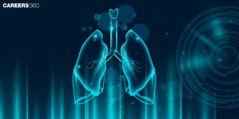 Respiration Definition Types Diagram And Examples