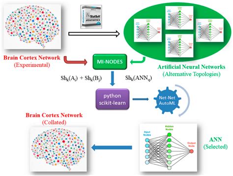 applied sciences free full text net net automl selection of artificial neural network