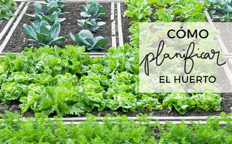 Cómo planificar el huerto