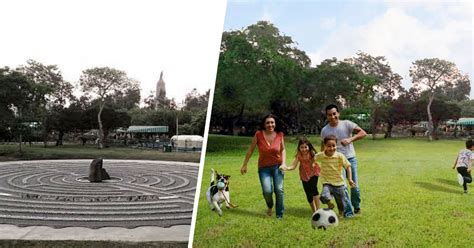 Municipalidad De Lima Solicita Al Gobierno De Boluarte Demoler El