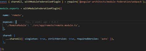 webpack export global styles and assets using angular module federation stack overflow