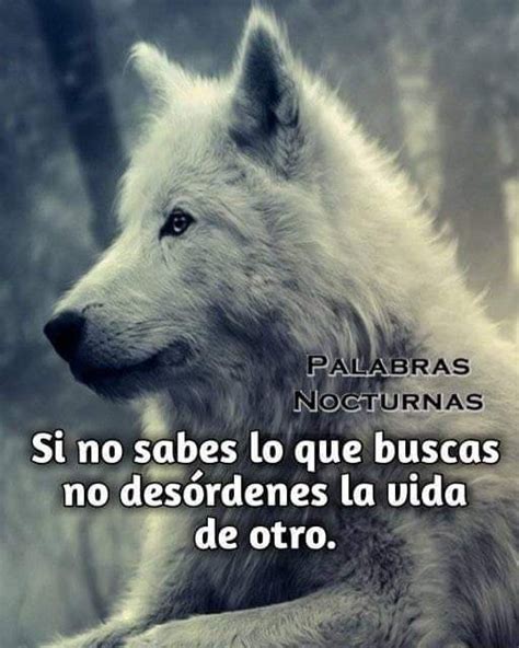 BRAS Si No Sabes Lo Que Buscas No Desordenes La Vida De Otro IFunny