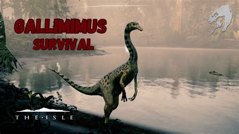 Trying To Survive As A Gallimimus The Isle Evrima Gateway Petits