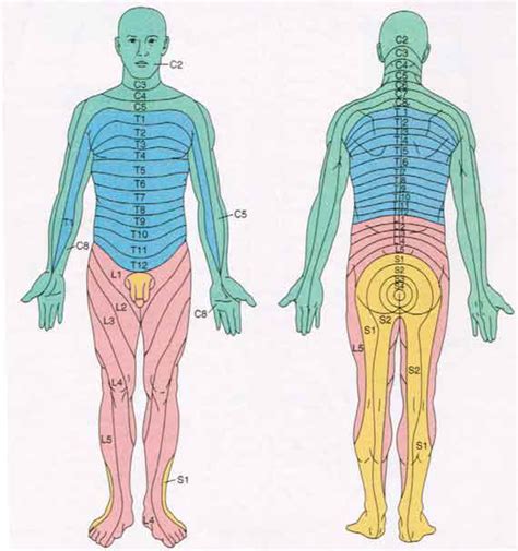 Herpes Zoster Shingles Infectious Dis Medbullets Step 2 3