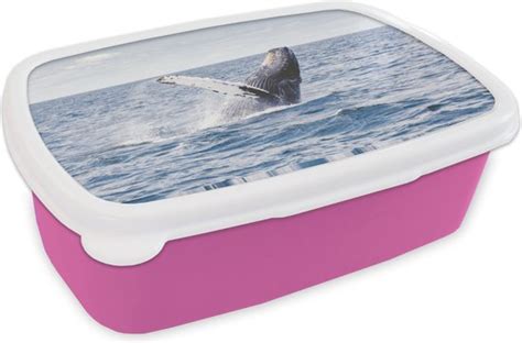 Broodtrommel Roze Lunchbox Brooddoos Zee Walvis Lucht
