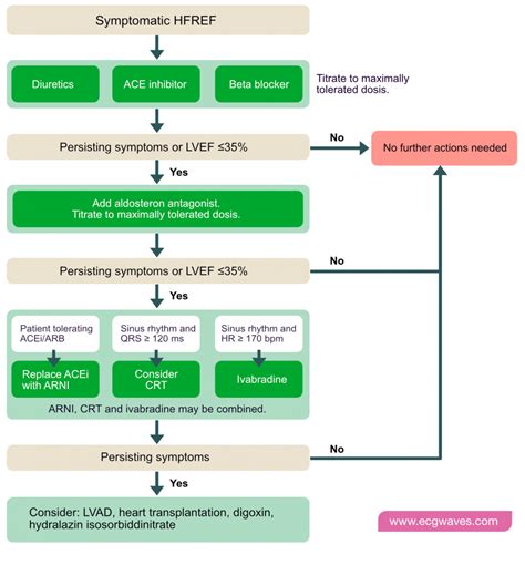 Heart Failure Causes Types Diagnosis Treatments Management