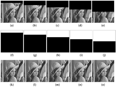 entropy free full text a fragile image watermarking scheme in dwt domain using chaotic