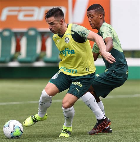 Palmeiras x Botafogo informações estatísticas e curiosidades Palmeiras
