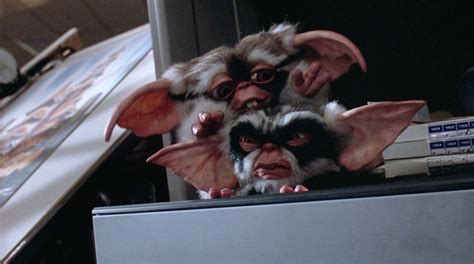 George Mogwai Movie Prop The Gremlins Museum
