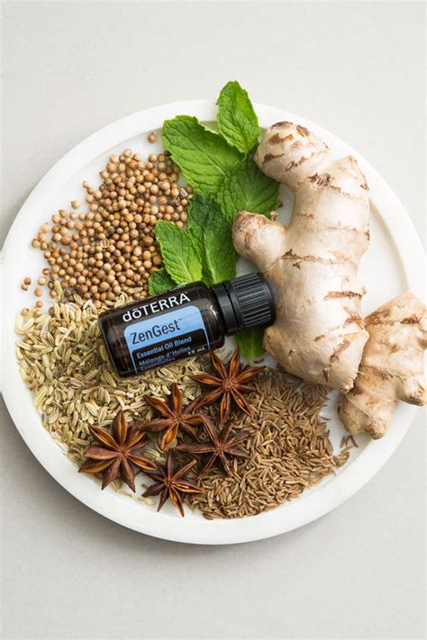 Zengest Oil Doterra Essential Oils