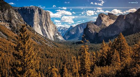Chmury Park Narodowy Yosemite Dolina Yosemite Valley Stan Kalifornia