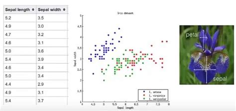iris dataset prediction in machine learning new technology
