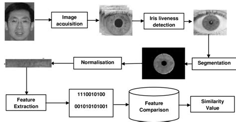 typical stages of the robust iris recognition system download scientific diagram