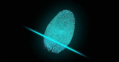 Identidad Y Huella Digital Arbol