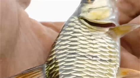 Serunya Mancing Ikan Ini Tapi Ombak Cepat Datang YouTube