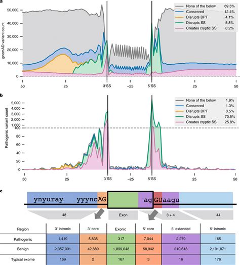 distribution of rare non coding variants in the splicing region we download scientific diagram