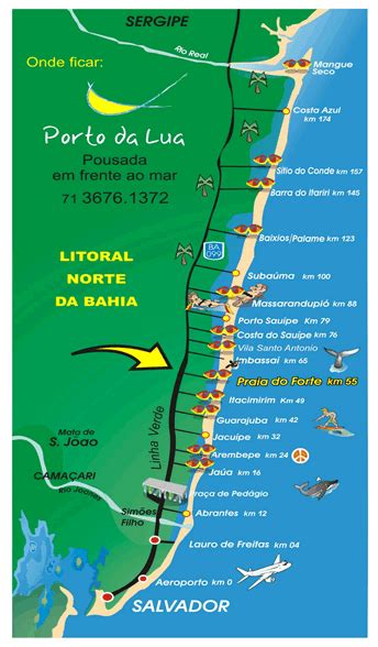 Como Chegar A Praia Do Forte Bahia