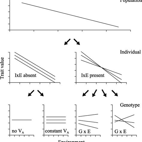 pattern of reaction norms a c e and variance b d f for different download scientific