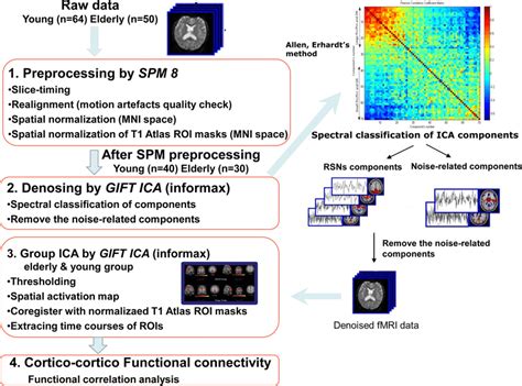 resting state fmri preprocessing download scientific diagram