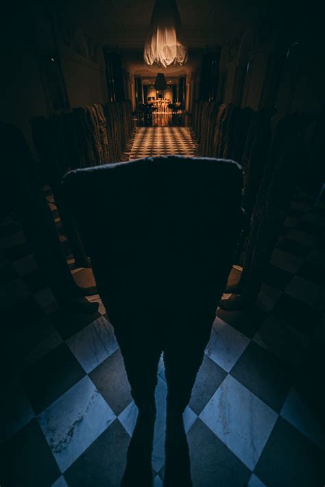 Abakanowicz Konfrontacje W Zamku Kr Lewskim W Warszawie Szum