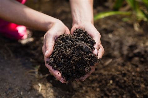 Adapta los cultivos al tipo de suelo de tu parcela agrícola Blog Aepla