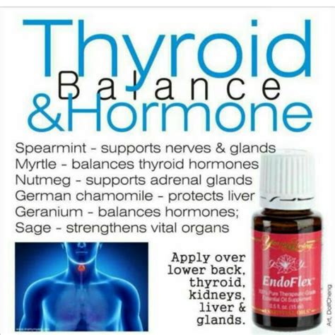 Essential Oil To Support Hormon Imbalance Women S Fashion Jewelry