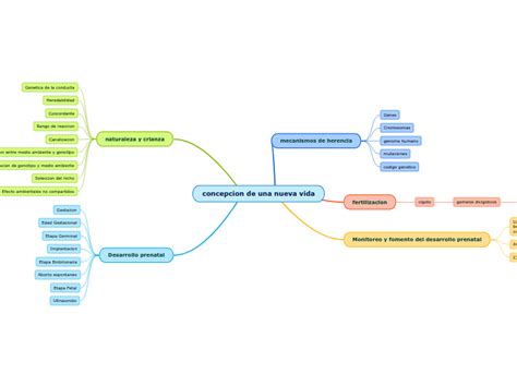 Concepcion De Una Nueva Vida Mind Map