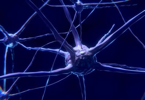 neural networks part 1 vantage education