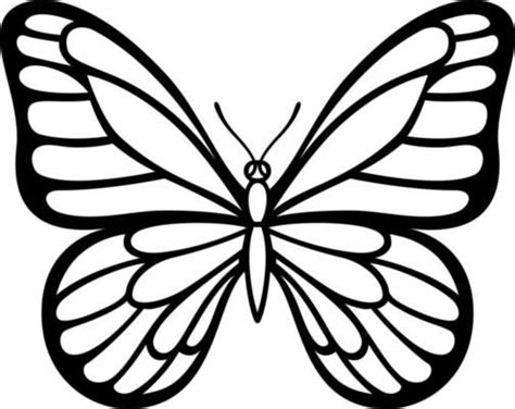 Black And White Butterflies Collection 6565900 Vector Art At Vecteezy