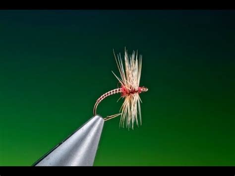 Fly Tying A Pay Day Midge With Barry Ord Clarke YouTube