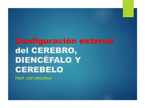 Configuración Externa del Cerebro Diencéfalo y Cerebelo uDocz