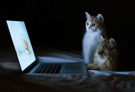Wallpaper Laptop Keren Newstempo