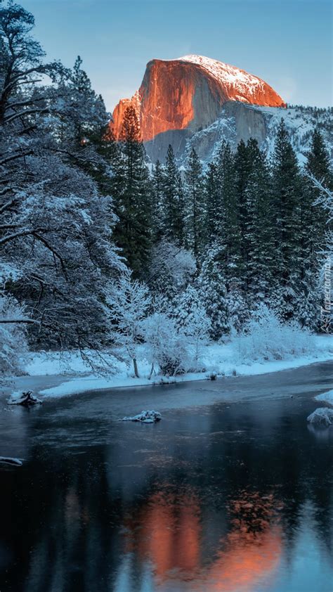 Ośnieżone drzewa nad rzeką Merced River Tapeta na telefon