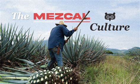 The Mezcal Culture 9 Reinos