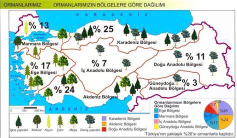 Bölgelere Göre Türkiye Haritası Nehru Memorial