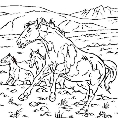 Coloriage Chevaux sauvages en Ligne Gratuit à imprimer