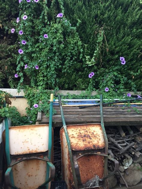 El Lado Feo De Imagenes De Jardin Jardines Urbanos