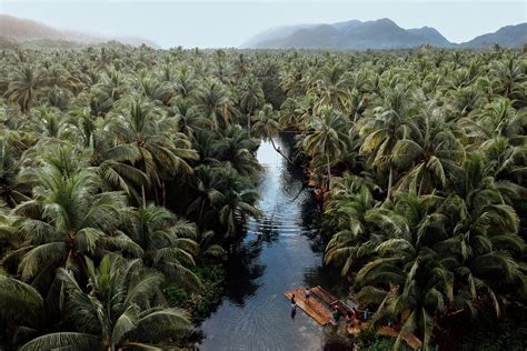 Voyage à Siargao l île paradisiaque des Philippines pagayer sur la