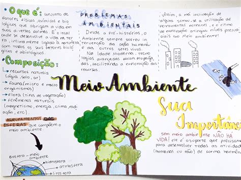 Mapa Mental Projeto Sobre Meio Ambiente Sociedade E Meio Ambiente