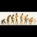 Evolution Of Programming Languages Tecky Academy