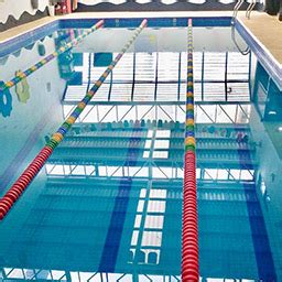 Las 7 Mejores Escuelas de Natación en Tlaquepaque 2024