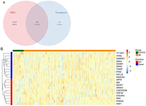 Ferroptosis Related DEGs A Venn Diagram Showing The Overlap Between