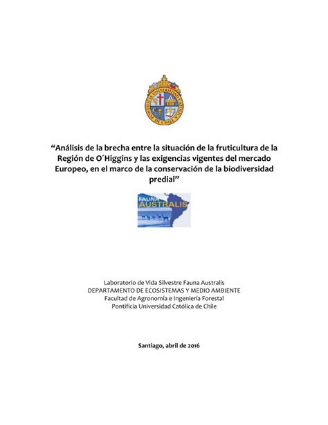 PDF Análisis de la brecha entre la situación de la PDF file2