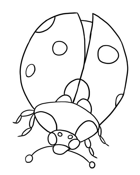 Dibujos De MARIQUITAS Para Colorear Y Pintar