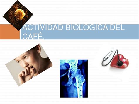 PPT El Café PowerPoint Presentation free download ID 1387413