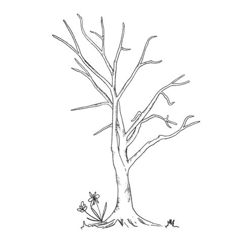 Printable Tree Template No Leaves